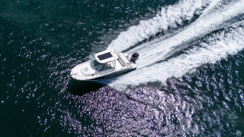 TROPHY 2502 PRO WALKAROUND - Calico Marina